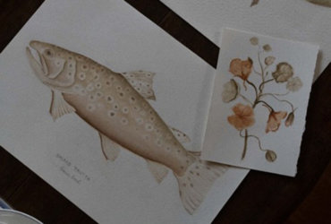 Atsushi Matsubayashi - Arches Papers