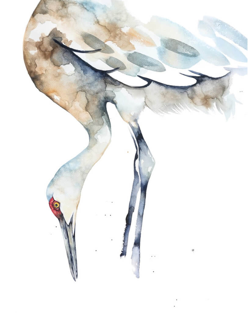 Kiley Busko, an american self-taught artist - Arches papers