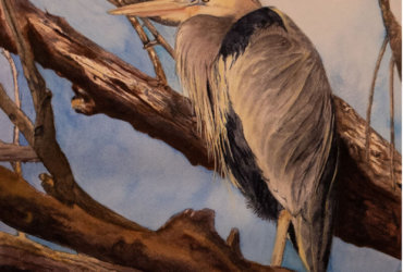 Nina Hidalgo - Arches Papers